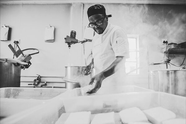 Bush Hill Cheese - Artisan cheese farm in KZN