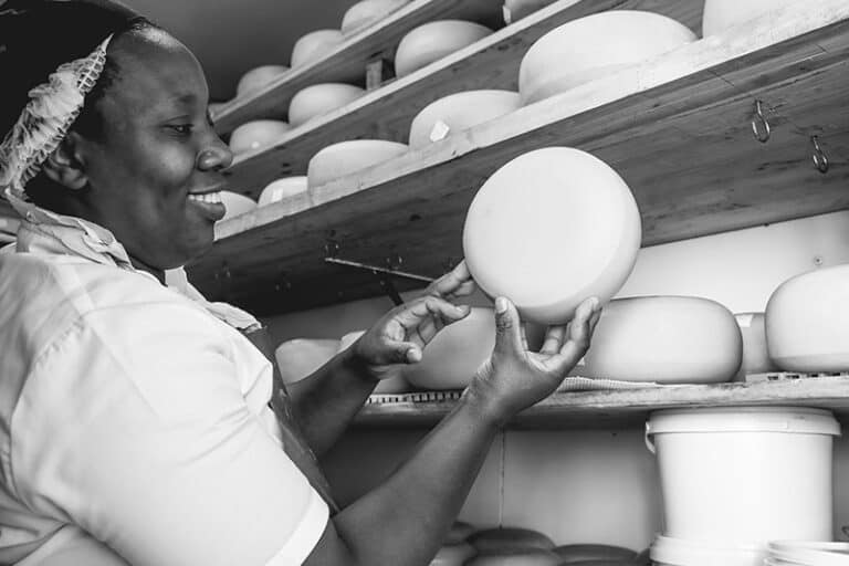 Bush Hill Cheese - Artisan cheese farm in KZN
